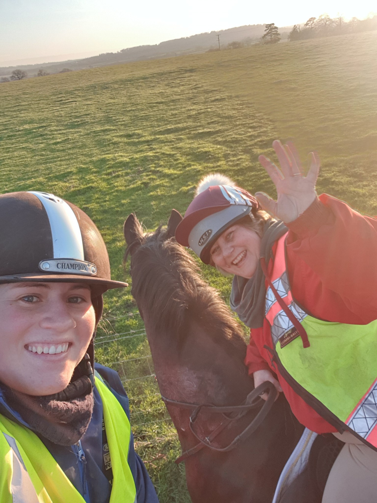 Gallery – Glebe Farm Horse Livery