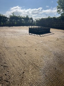 Rest and Retirement Livery – Glebe Farm Horse Livery
